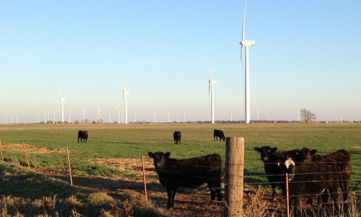 USA: 1000 Megawatt Wind Farm Starts Operation - rawmaterials.net